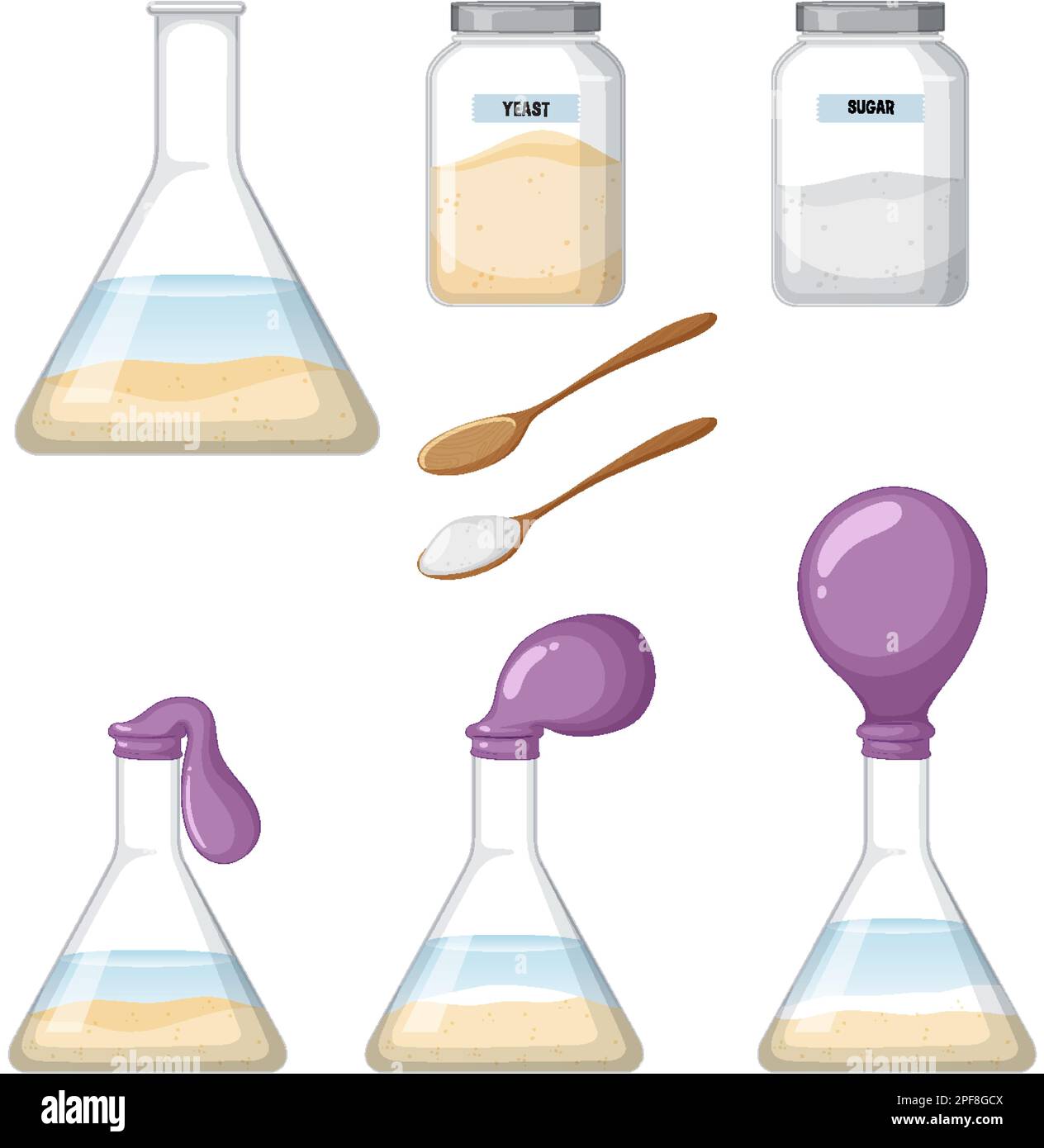 Yeast Science at Carmina Cox blog