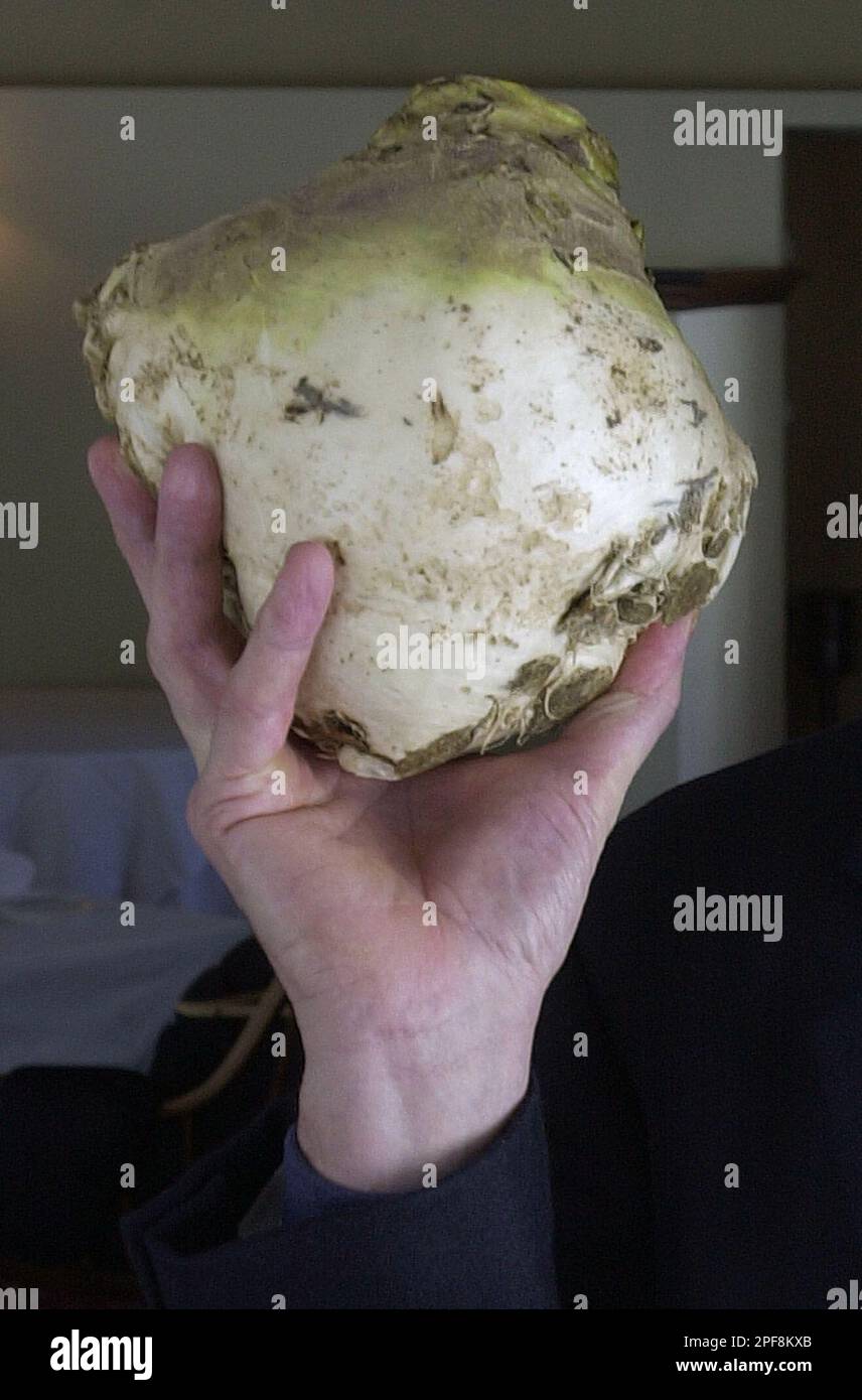** ADVANCE FOR SUNDAY, MARCH 9 ** Chef Greg Parks holds a Gilfeather ...