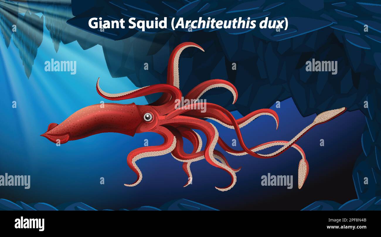 Giant Squid Vector