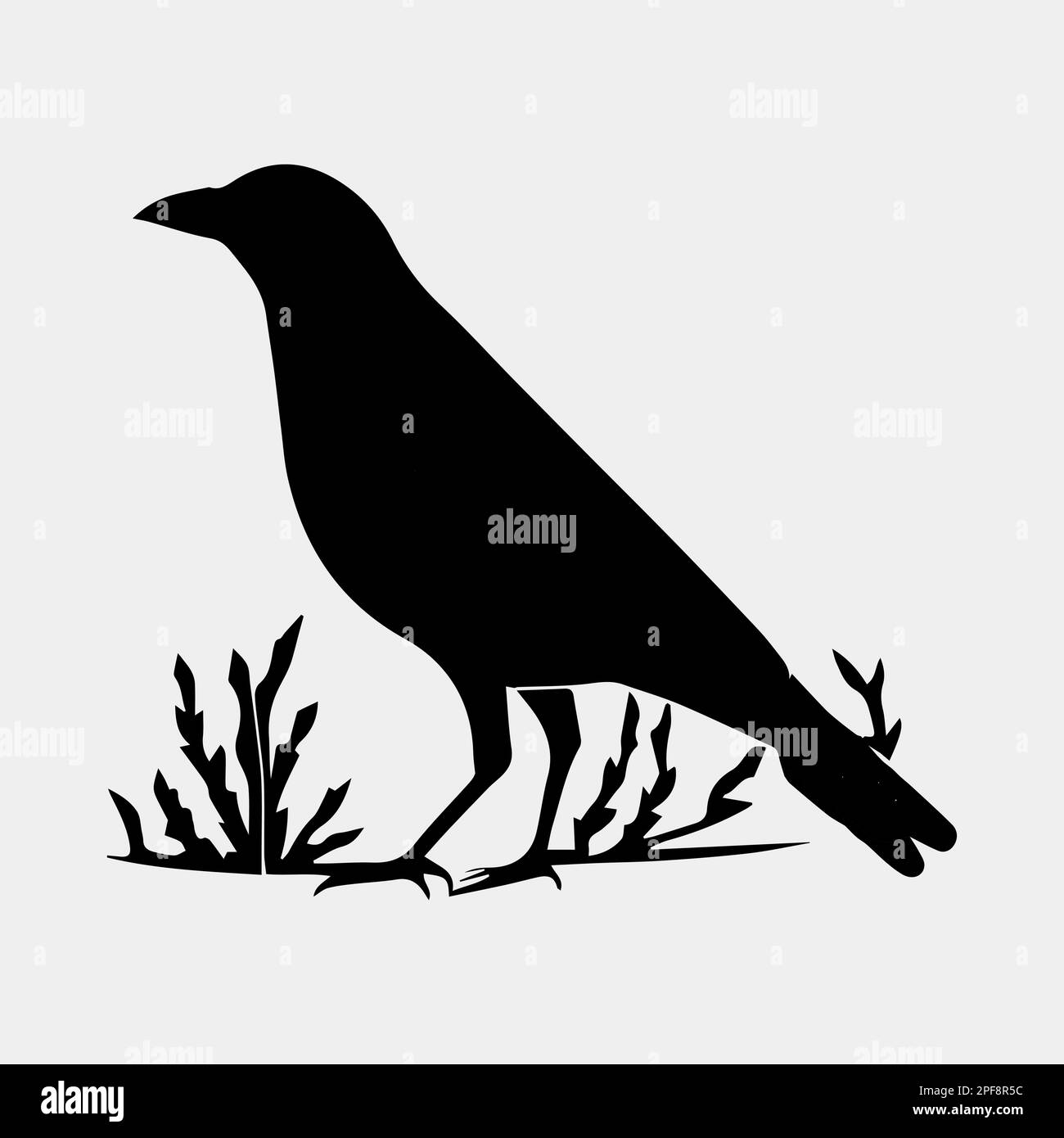 Sitting Raven Silhouette