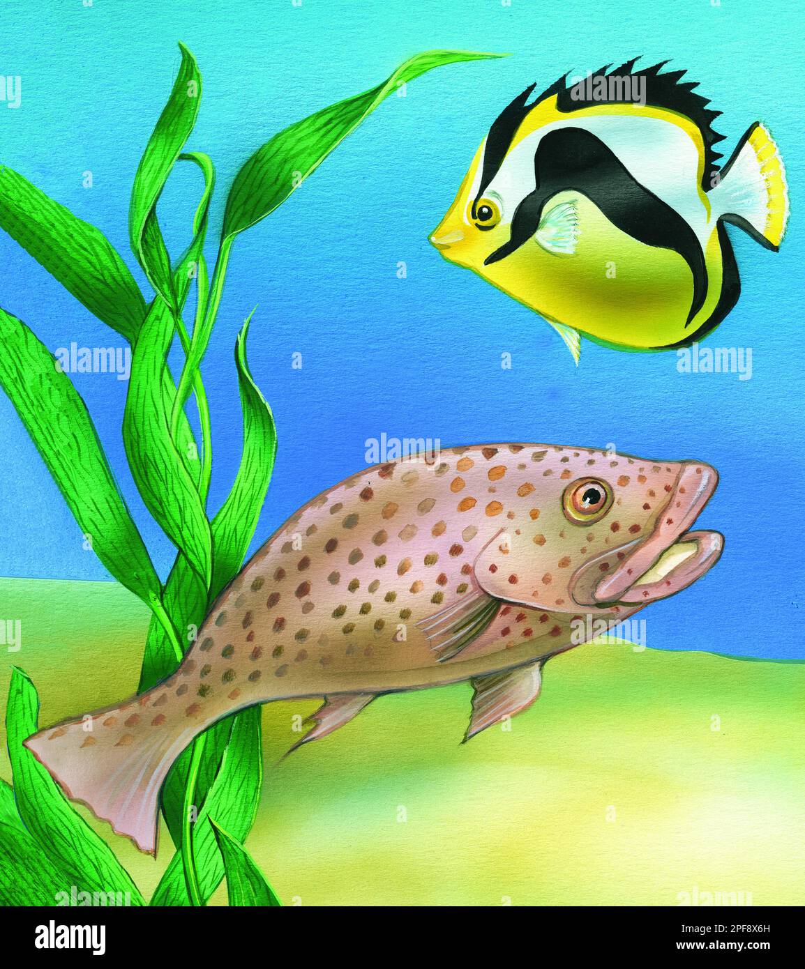 Animals-fish & reeds underwater Stock Photo - Alamy