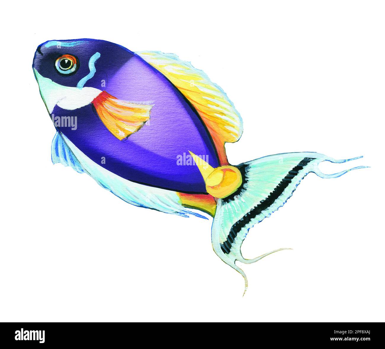 Animals-Fish on white Stock Photo - Alamy