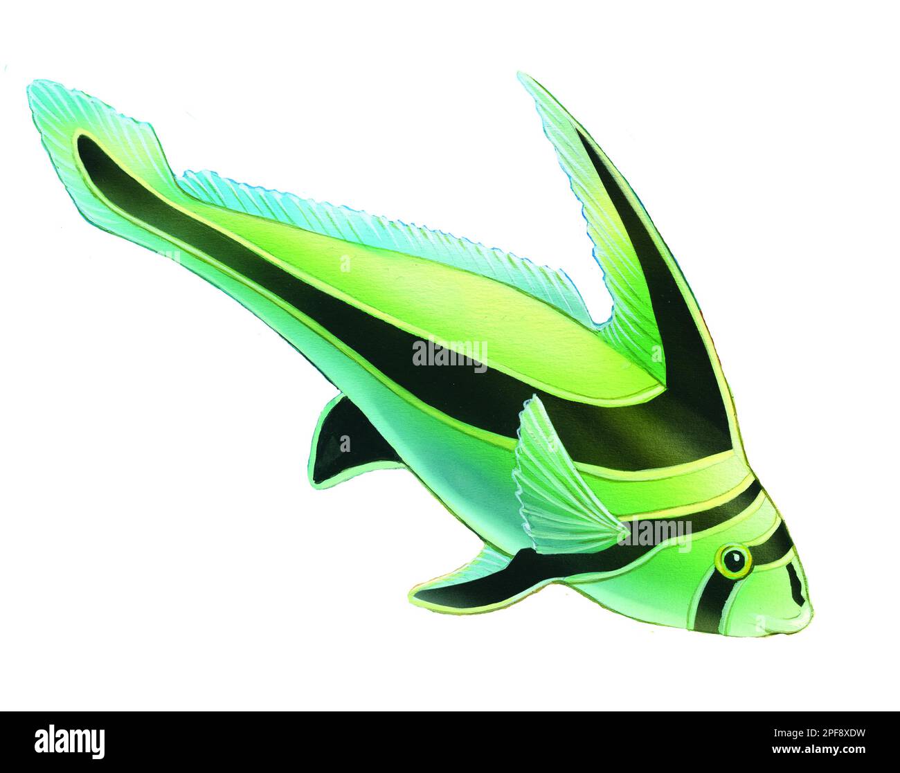 Sea animals life Cut Out Stock Images & Pictures - Alamy