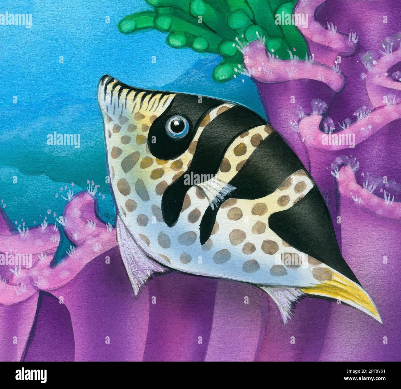 Purple spotted fish hi-res stock photography and images - Alamy