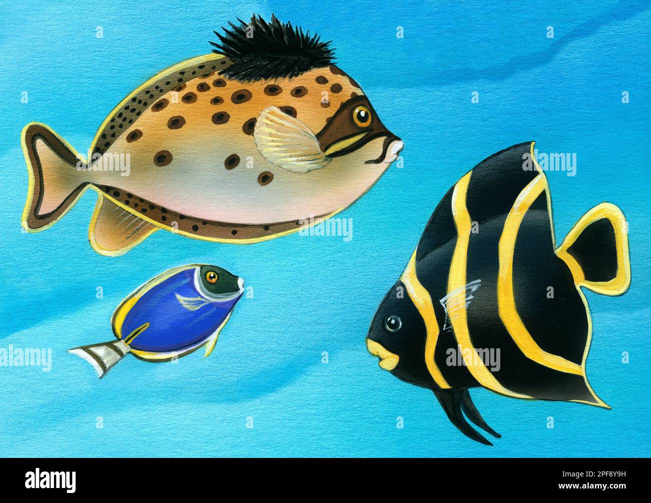 Animals-spotted striped & blue fishin water Stock Photo - Alamy