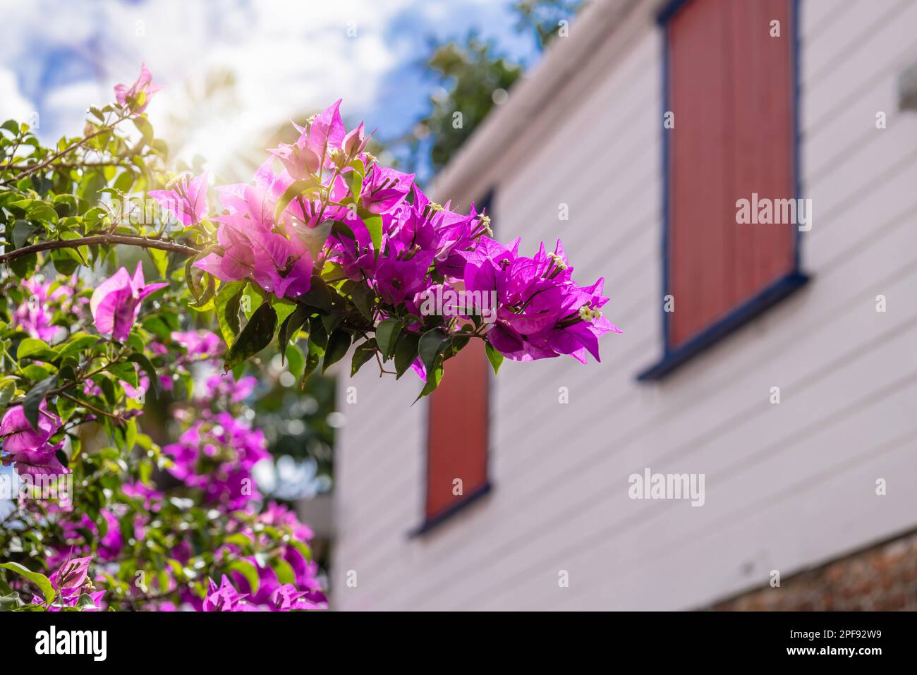 Old town historic streets of Redcliffe Quey in Saint Johns on Antigua ...
