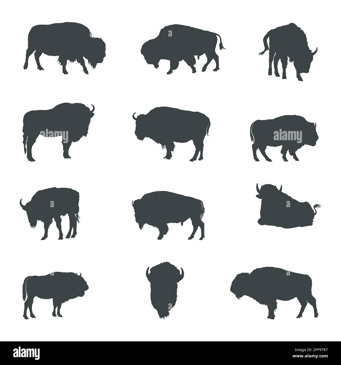 Bison buffalo silhouettes, Bison buffalo animals silhouette Stock ... Bison buffalo silhouettes, Bison buffalo animals silhouette Stock ...