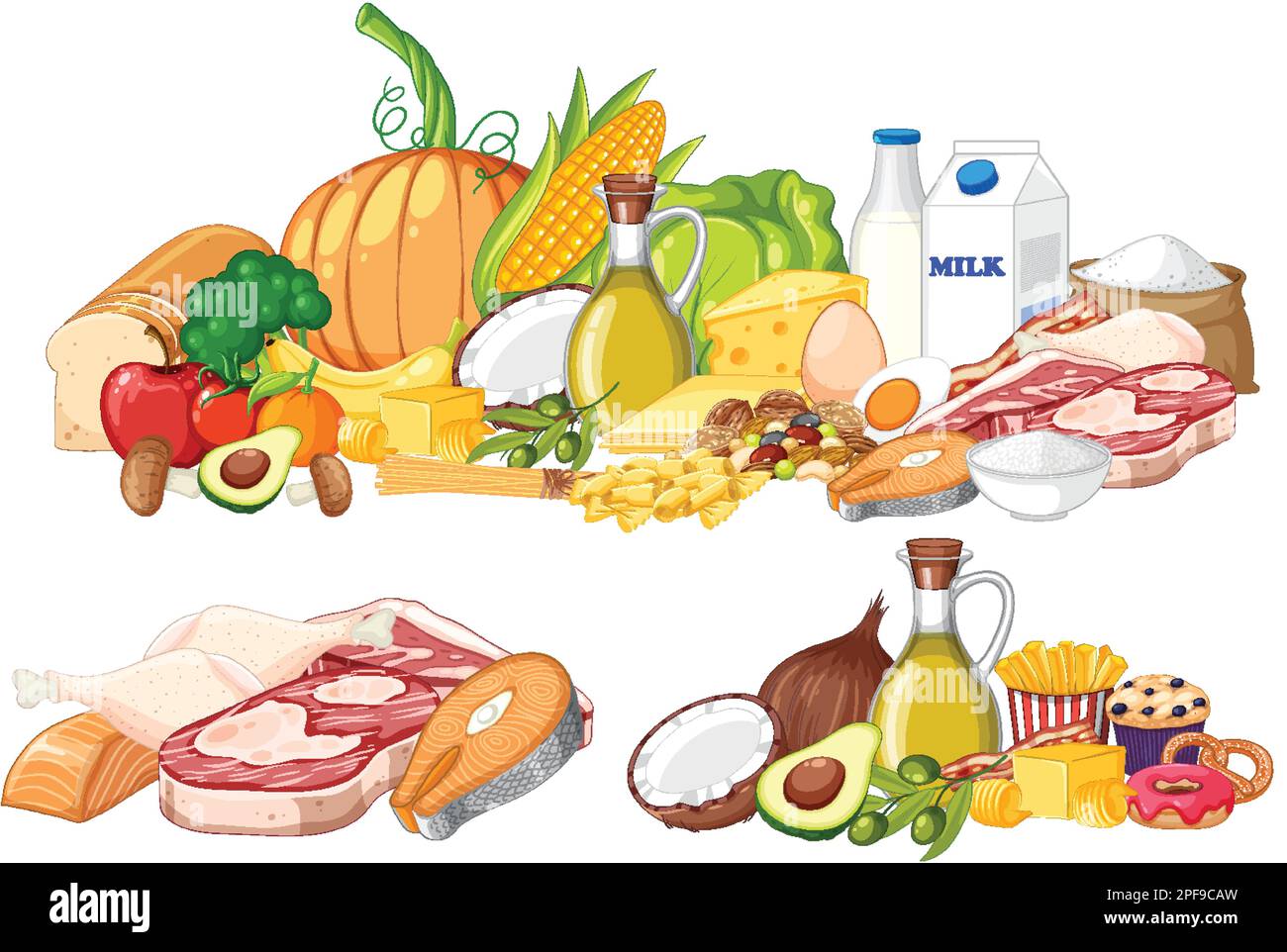 Main food groups macronutrients vector illustration Stock Vector Image ...
