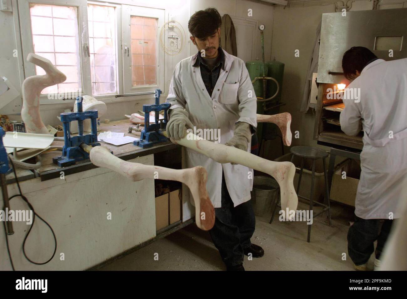 Afghan staff prepare an artifical leg covering for the polio victims in ...