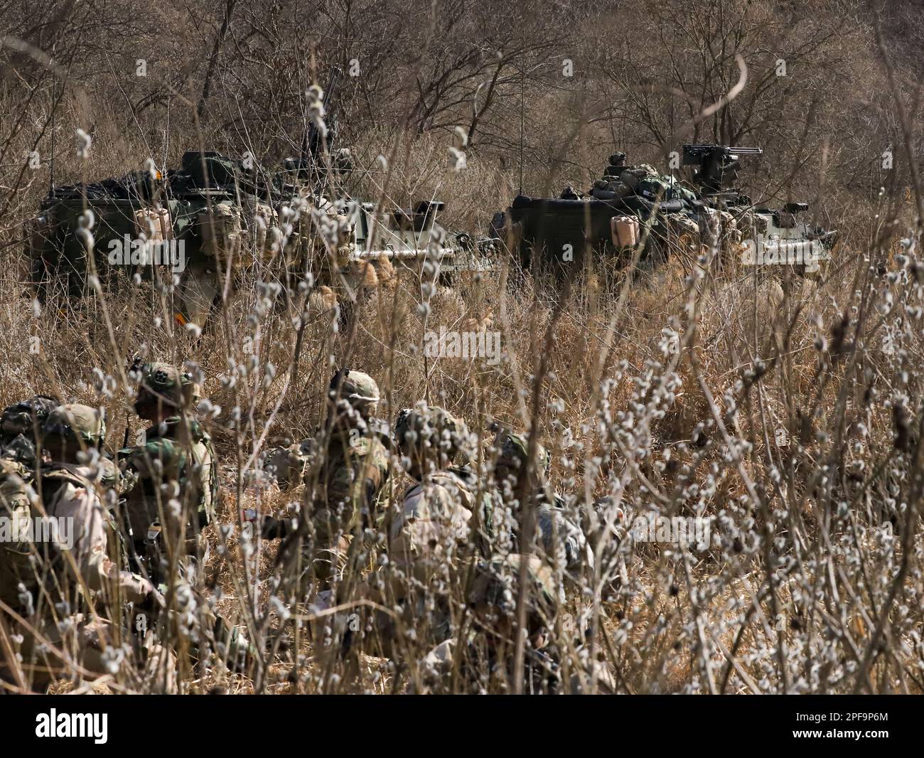 U.S. Army Soldiers assigned to 1-17th Battalion, 2nd Striker Brigade ...