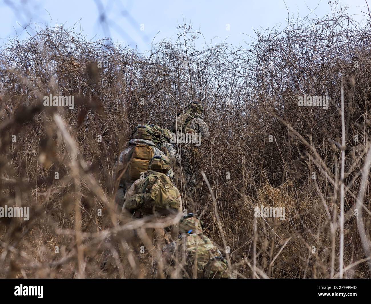 U.S. Army Soldiers assigned to 1-17th Battalion, 2nd Striker Brigade ...