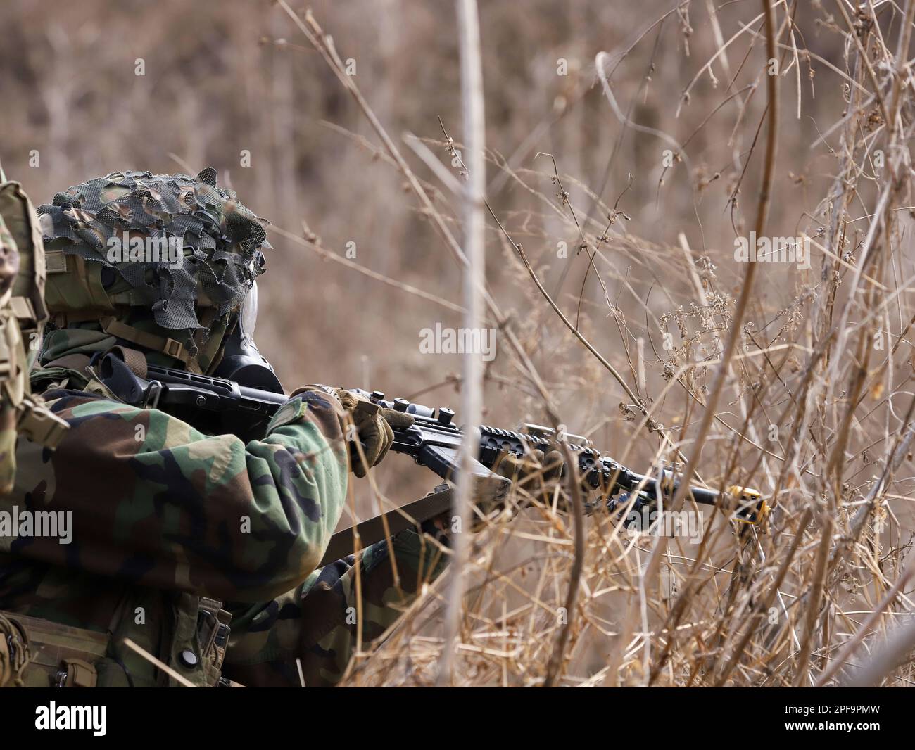 U.S. Army Soldiers assigned to 1-17th Battalion, 2nd Striker Brigade ...