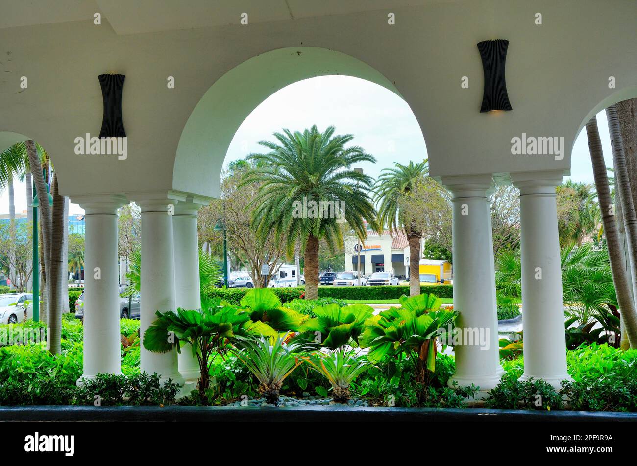 Palm Trees Through Arch Stock Photo - Alamy