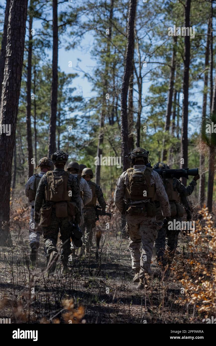U.S. Marines with 2d Marine Division (MARDIV) conduct a patrol during ...