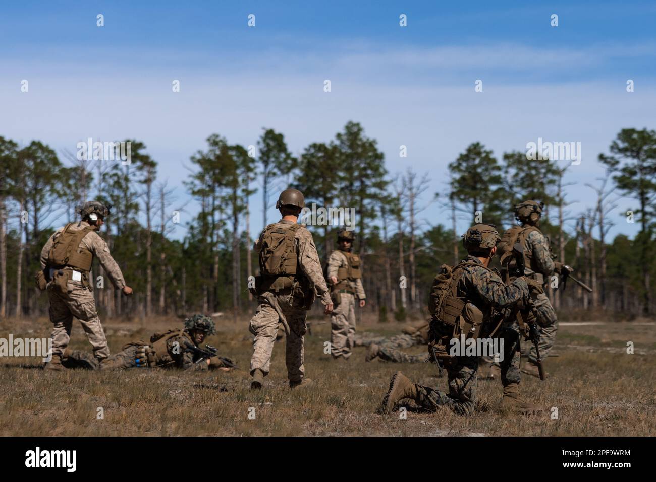 U.S. Marines with 2d Marine Division (MARDIV) execute a squad supported ...