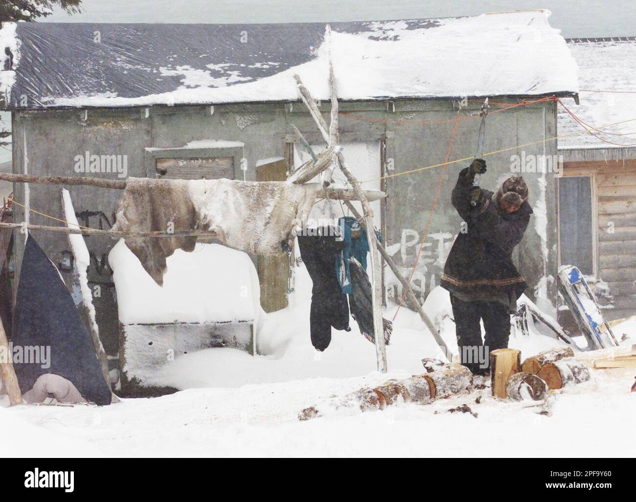 Jochamin Nui of Davis Inlet, Newfoundland, chops firewood on Thursday ...