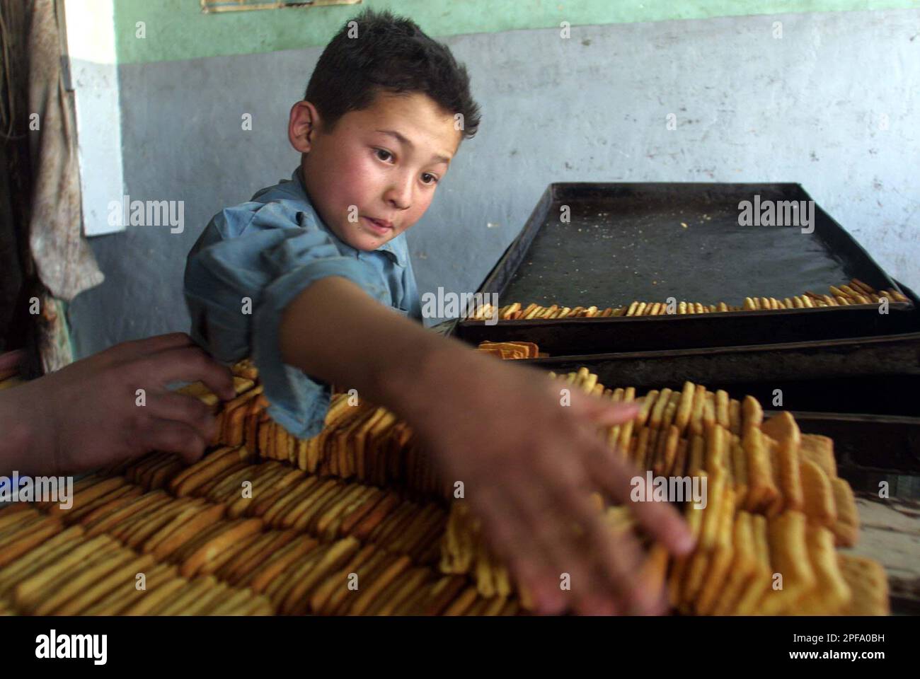 Rajab Ali, 10, helps his father in arranging biscuits in their bakery ...