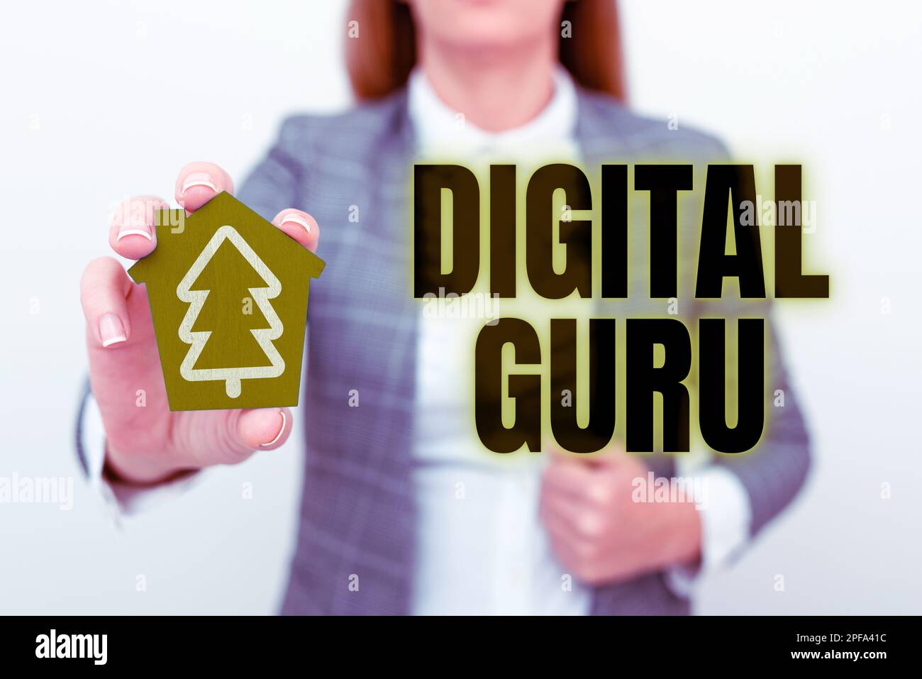 Text showing inspiration Digital Guru. Business overview teacher and ...