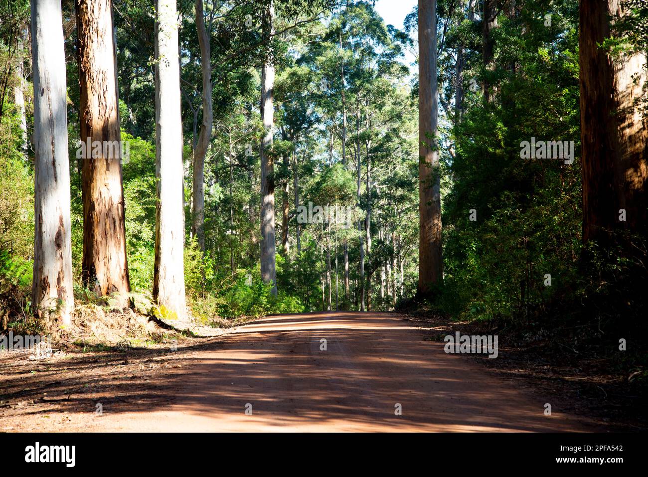 Old Vasse Road - Western Australia Stock Photo - Alamy