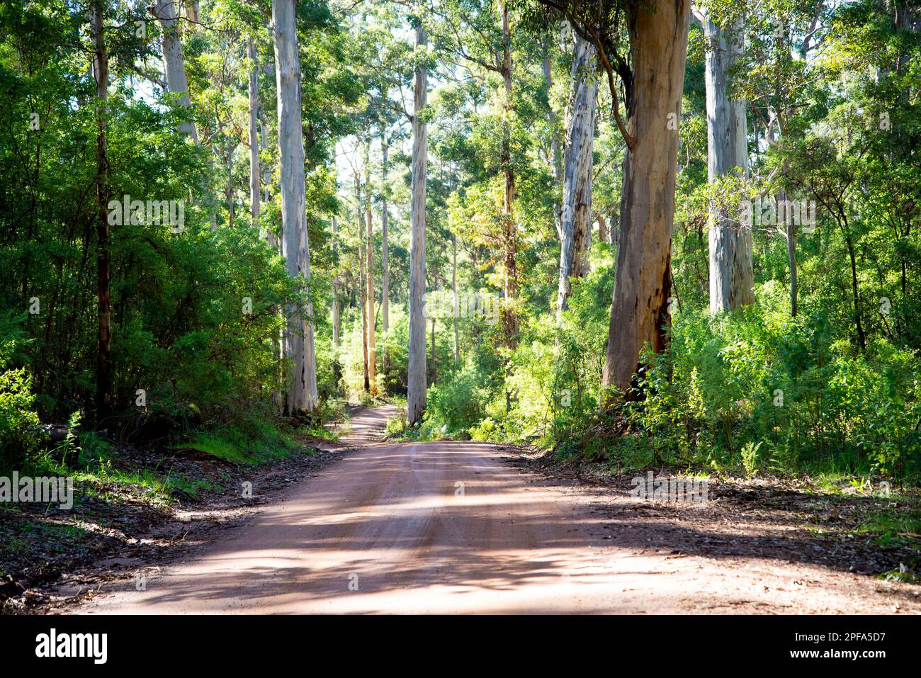 Old Vasse Road - Western Australia Stock Photo - Alamy