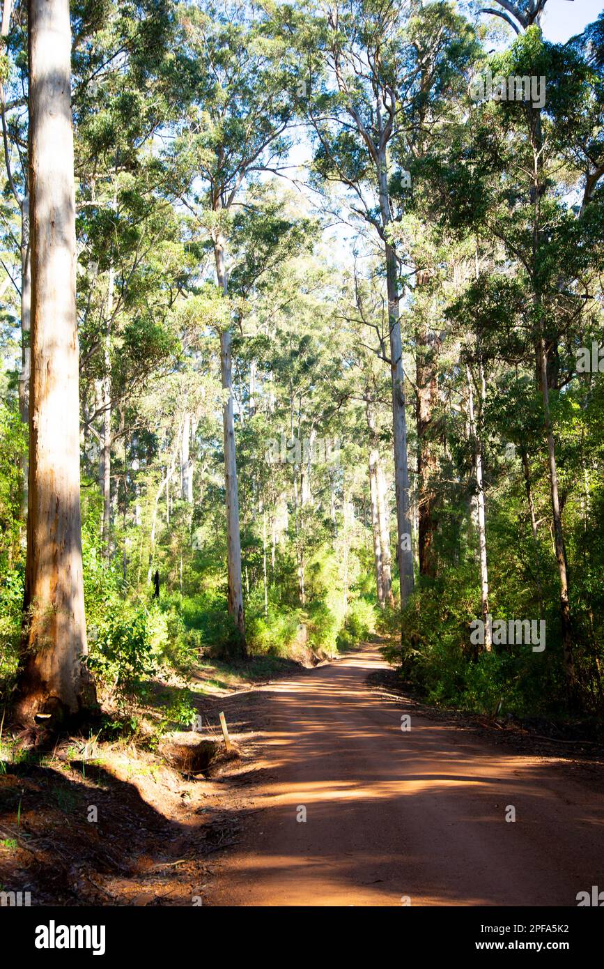Old Vasse Road - Western Australia Stock Photo - Alamy
