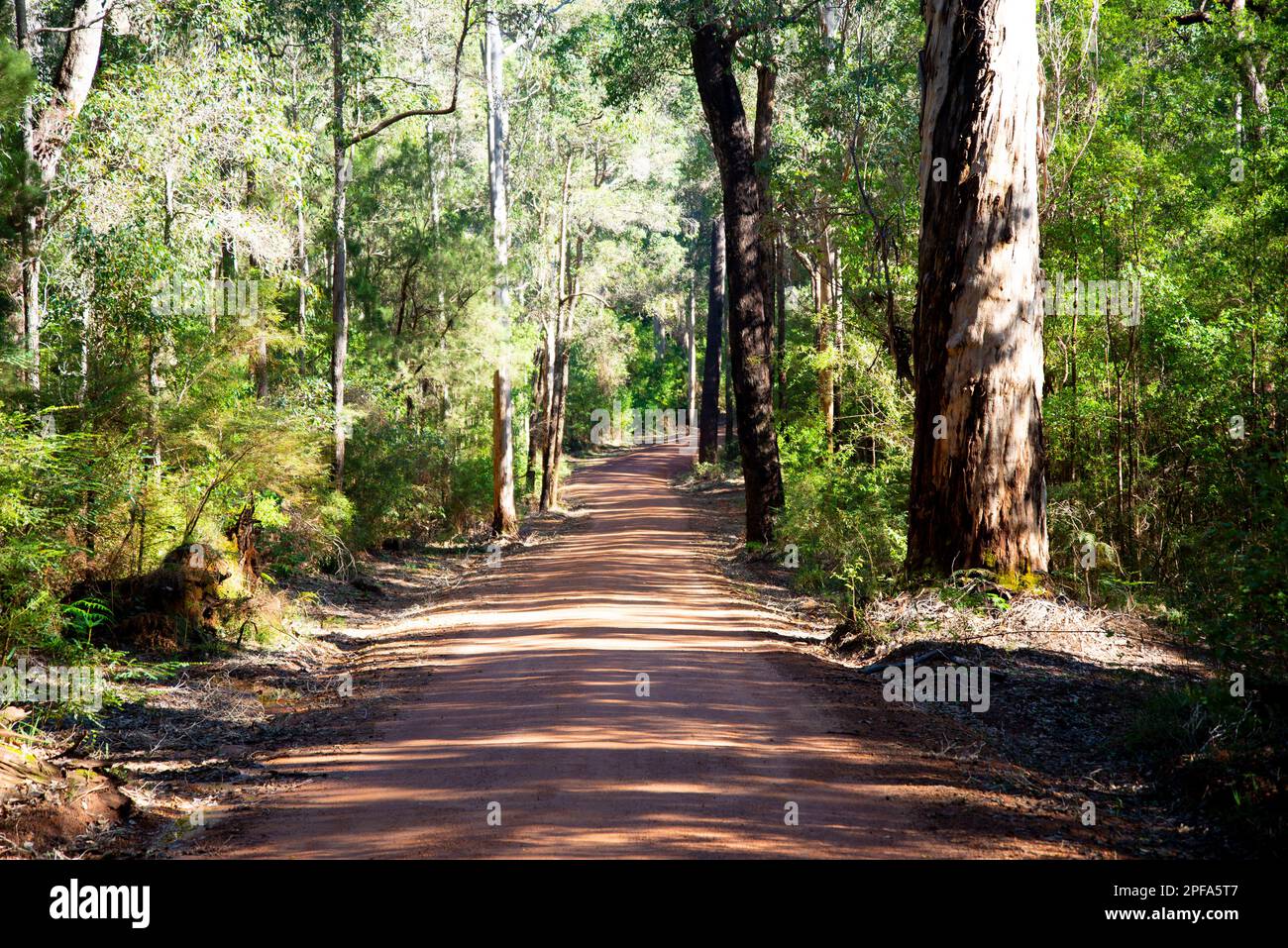 Old Vasse Road - Western Australia Stock Photo - Alamy