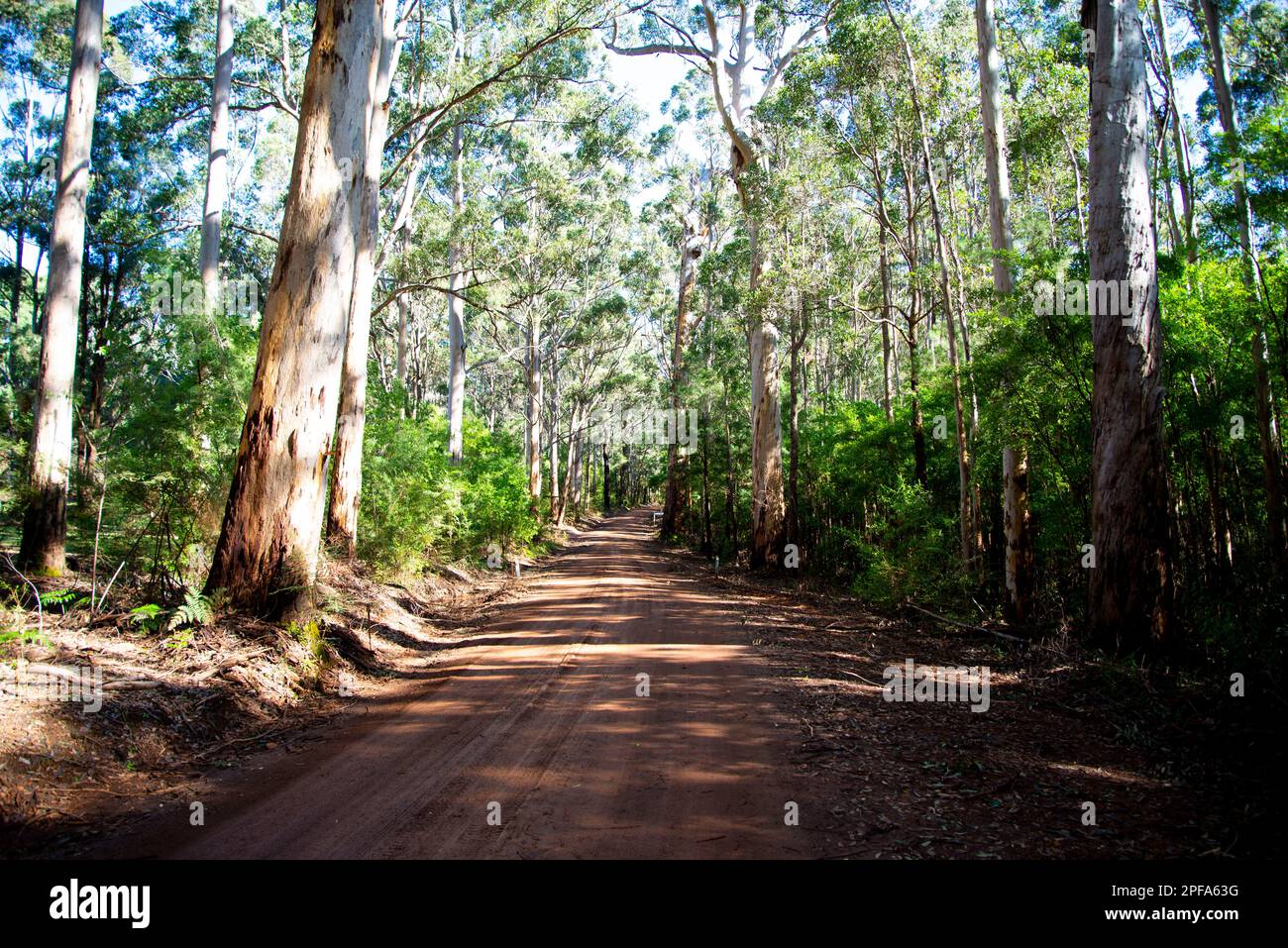 Old Vasse Road - Western Australia Stock Photo - Alamy