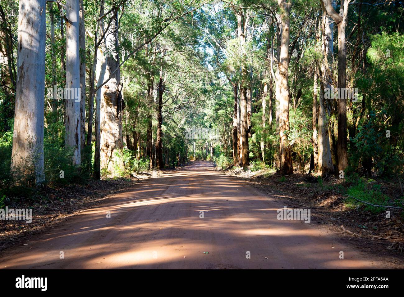 Old Vasse Road - Western Australia Stock Photo - Alamy