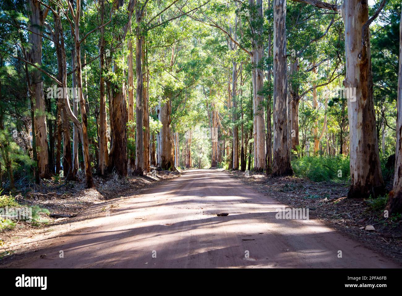 Old Vasse Road - Western Australia Stock Photo - Alamy