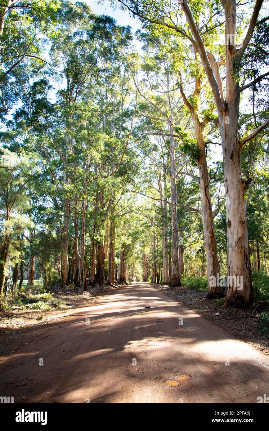 Old Vasse Road - Western Australia Stock Photo - Alamy