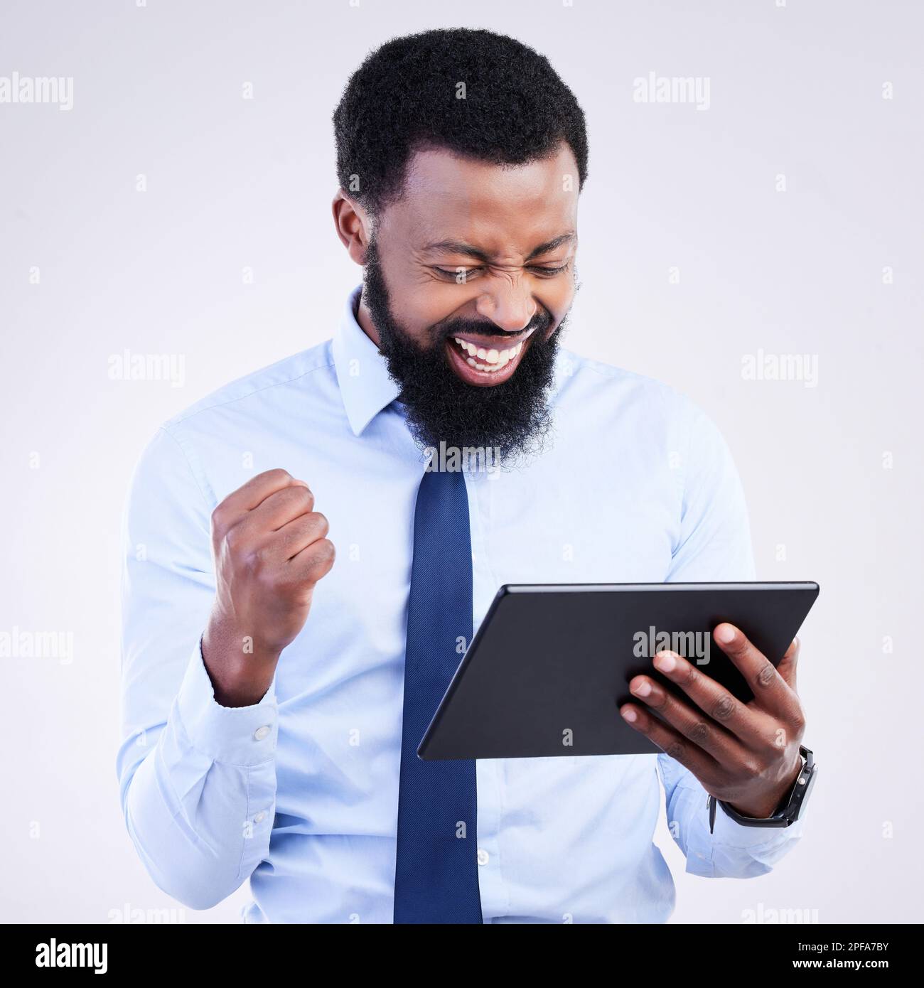 Winning, tablet and black man isolated on gray background stock market ...