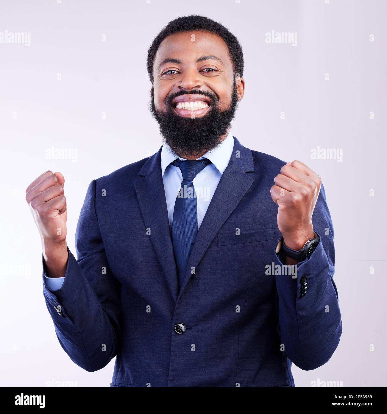 Yes, winner portrait and business black man isolated on gray background ...