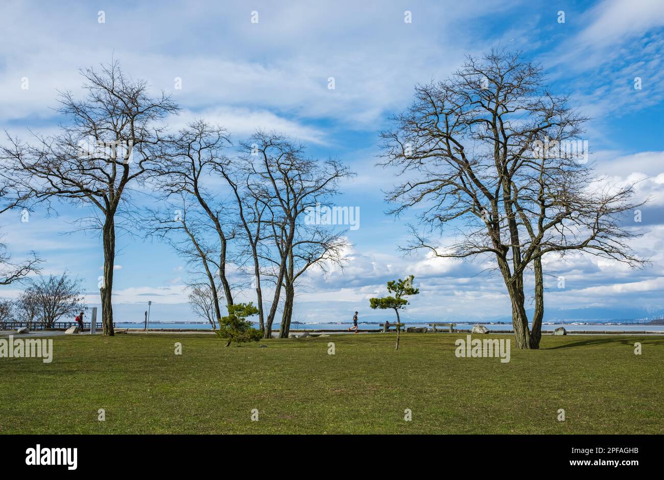 Spring landscape with trees and blue sky with white clouds. Active ...