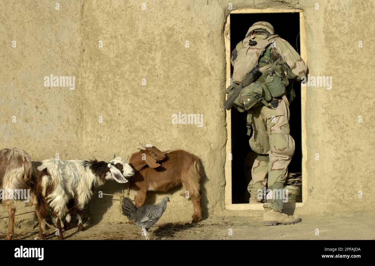 A U.S. army soldier in the Task Force Panther 82nd airborne searches ...