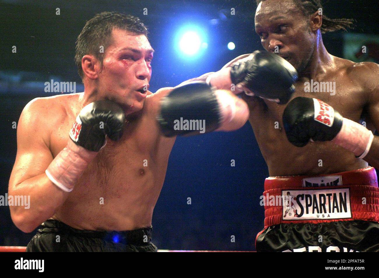 Polish light-heavyweight Boxer Dariusz Michalczewski, left, lands a ...
