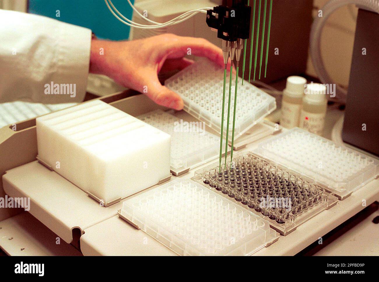 University of Virginia Professor of Pathology, Robin Felder, places a ...