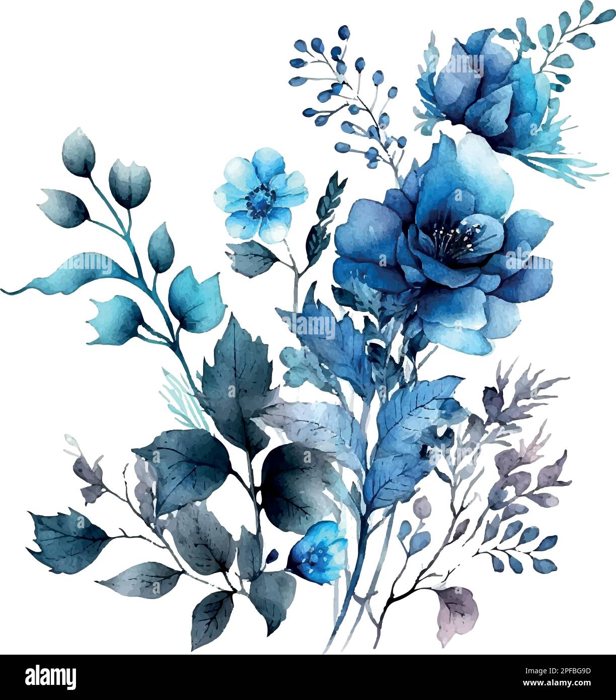 Simple ranunculus flower drawing hi-res stock photography and images ...