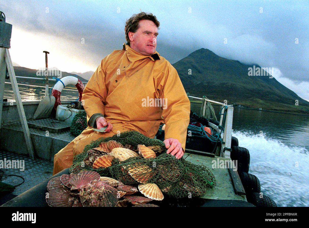 Scallop farmer David Oakes of Sconser returns to shore with mature king ...