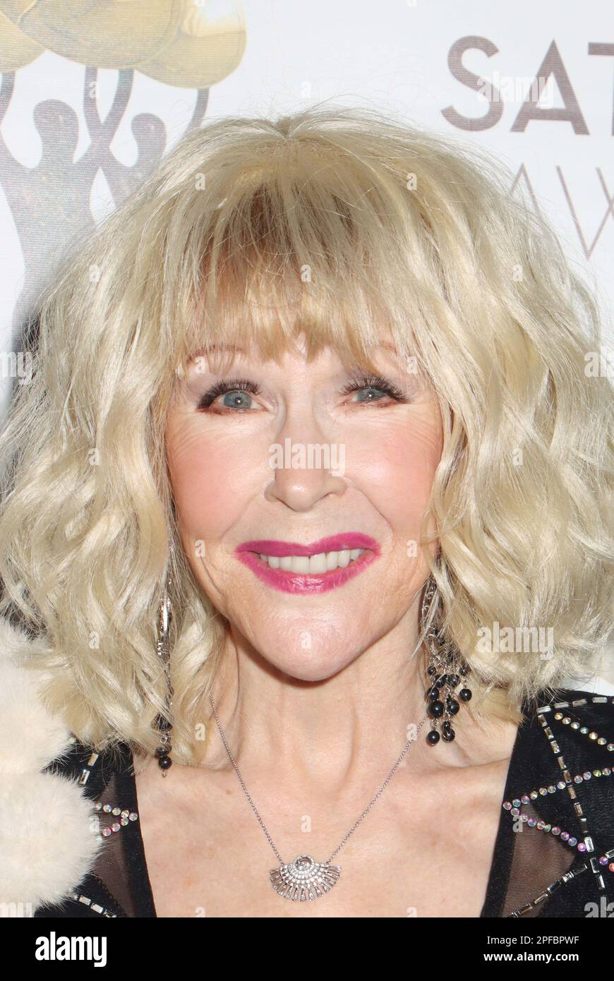 Trish Cook 03/03/2023 The 27th annual Satellite Awards 2023 Arrival ...