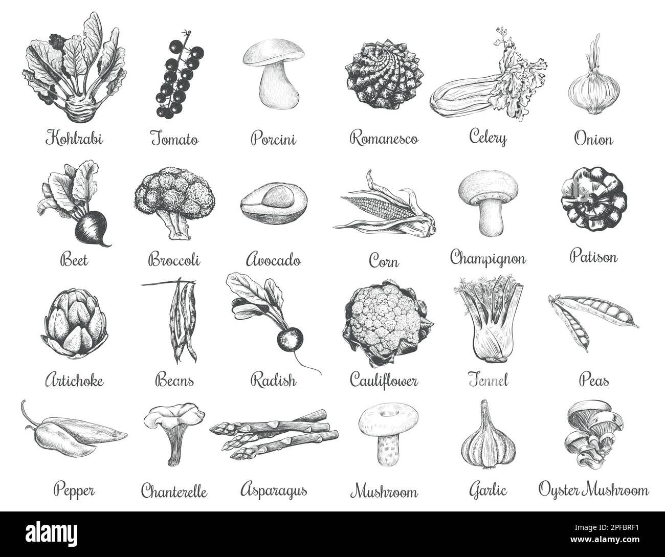 Collection of sketches of vegetables Stock Vector Image & Art - Alamy
