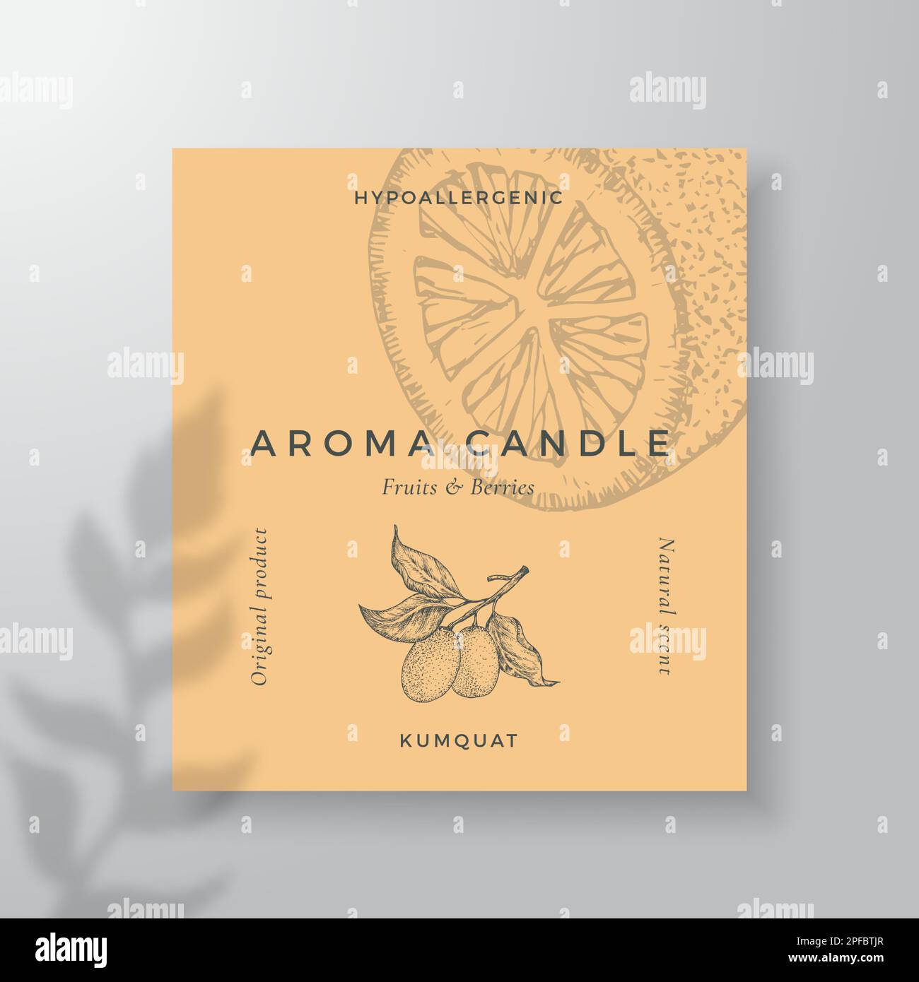 Aroma candle vector label template. Kumquat scent from local purveyors ...