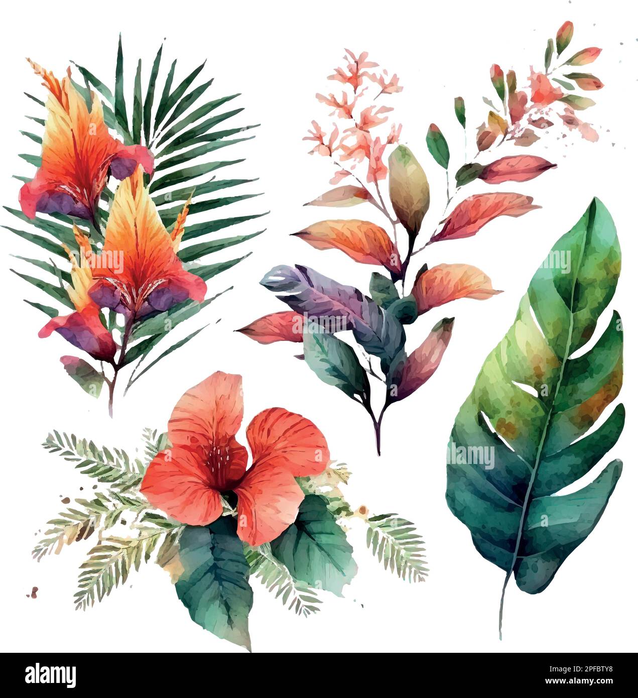 Brazilian tropical flowers Stock Vector Images - Alamy