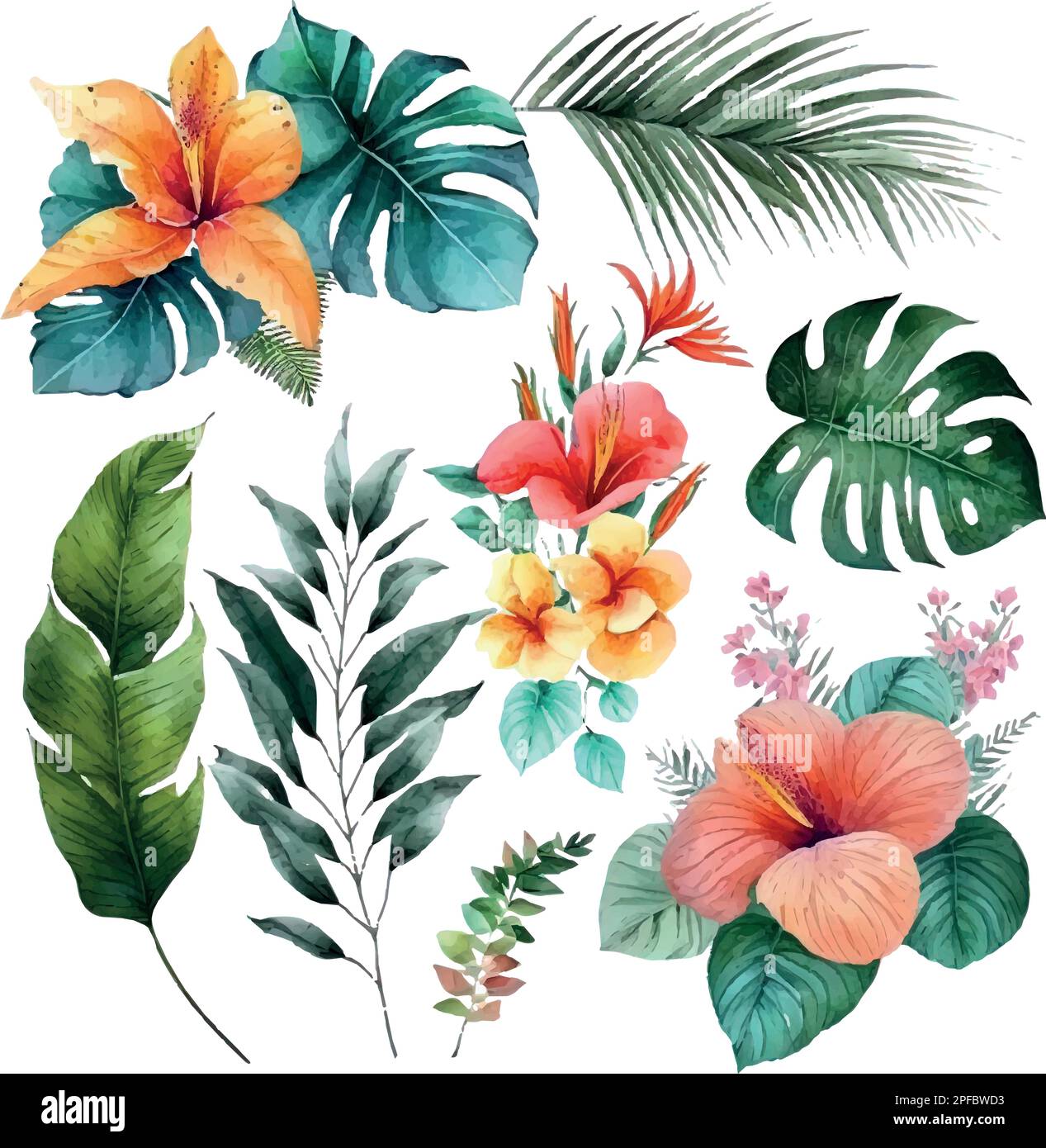 Water Color Tropical Green Leaves Clipart Set Vector