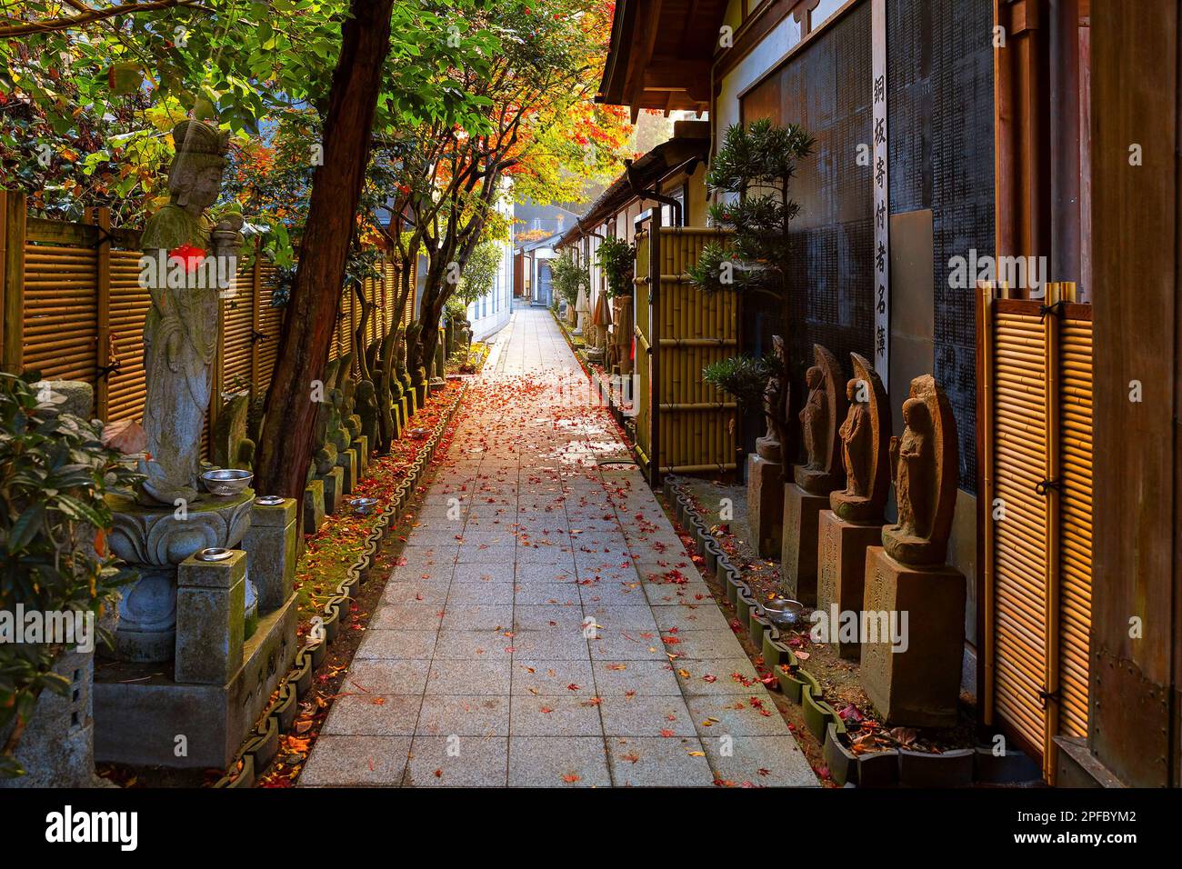 Fukuoka, Japan - Nov 21 2022: Nanzoin Temple in Fukuoka is home to a ...