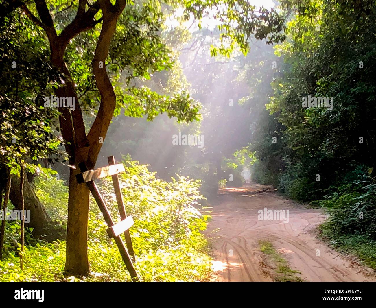 Beautiful Nature photography in Sri Lanka. Visit Sri Lanka Stock Photo ...