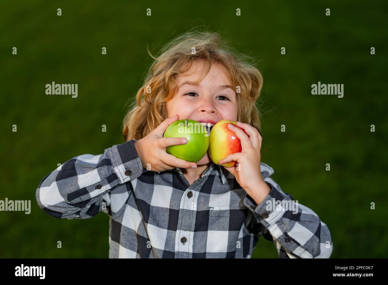 Fresh apple for kids. Kid enjoy picking apple. Child bitten apple ...