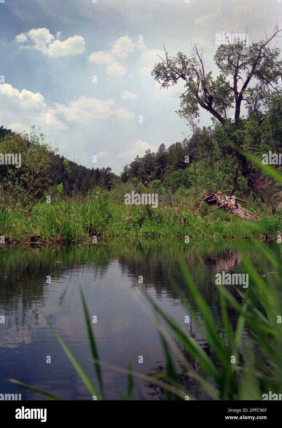 The Gallinas River flows through Gallinas Canyon west of Las Vegas, N.M ...