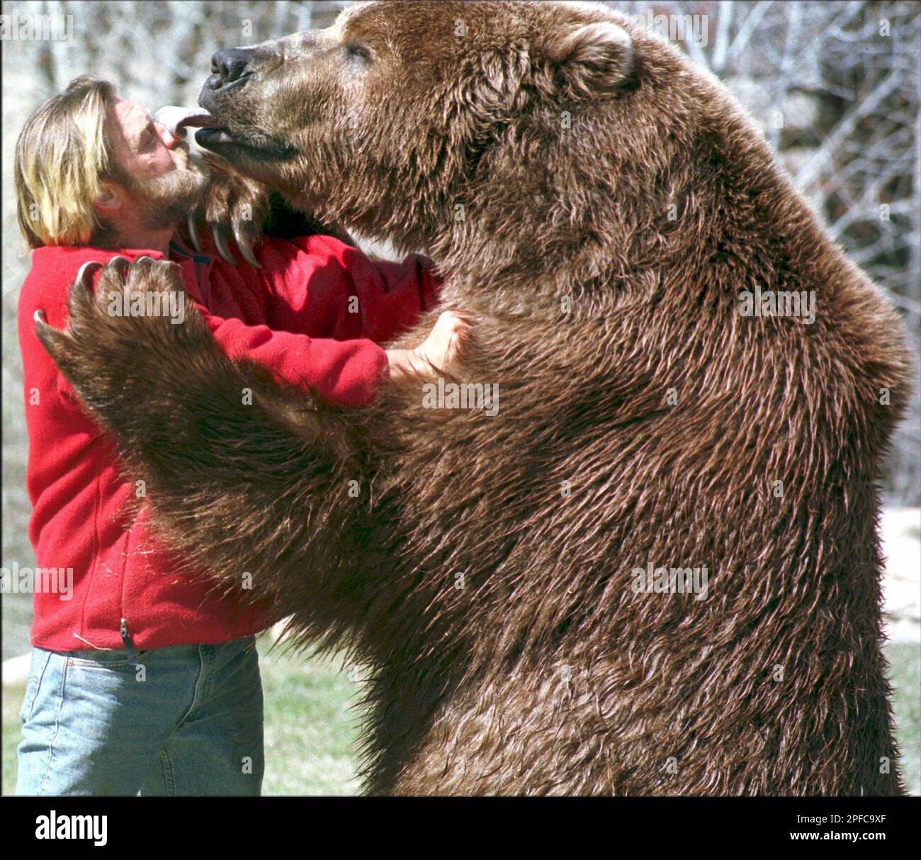 "Bart the Bear" licks owner/trainer Doug Seus in this 1995 photo, at ...
