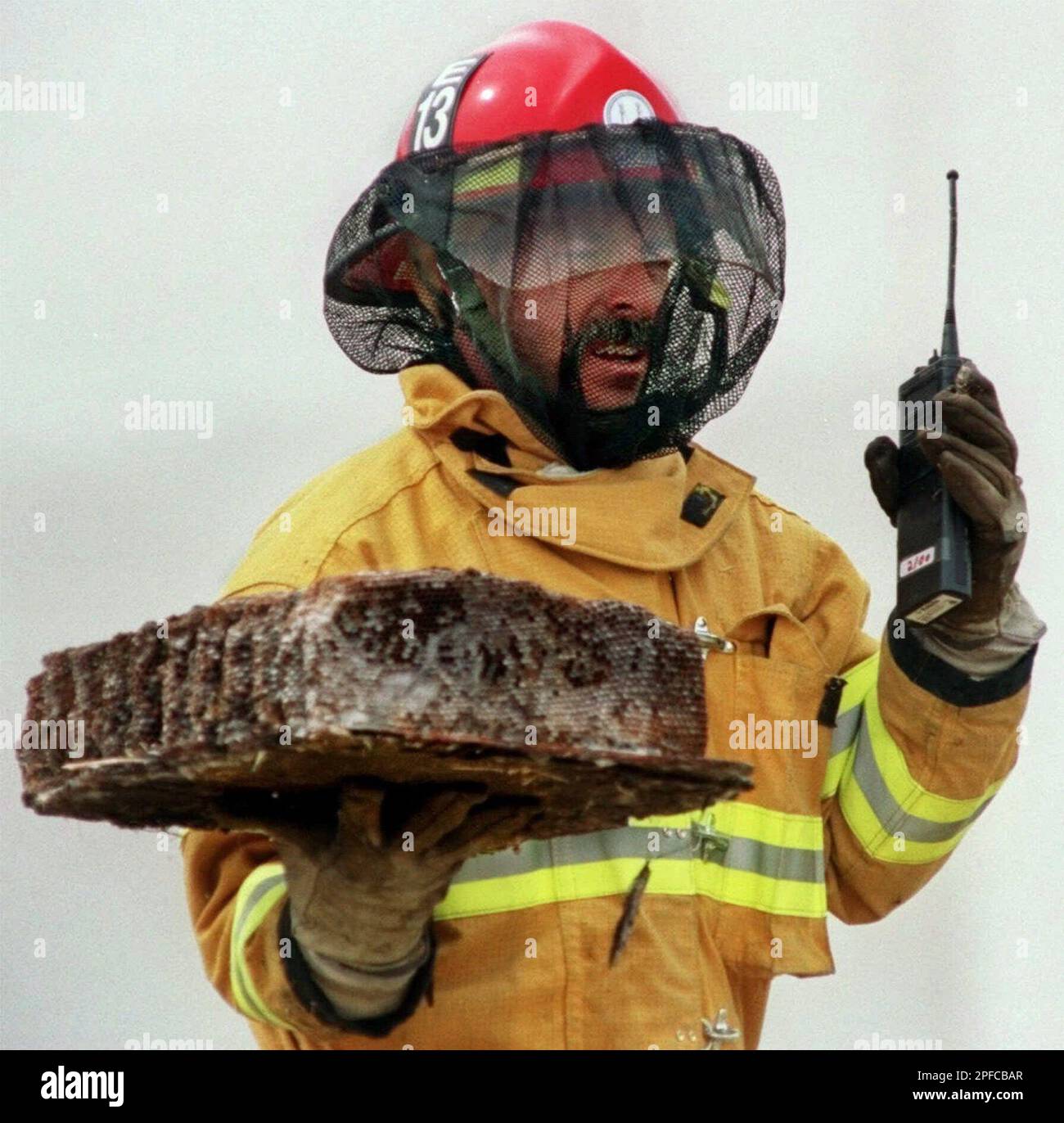 Tucson, Ariz., firefighter Richard Johnson carries a honeycomb, one of ...