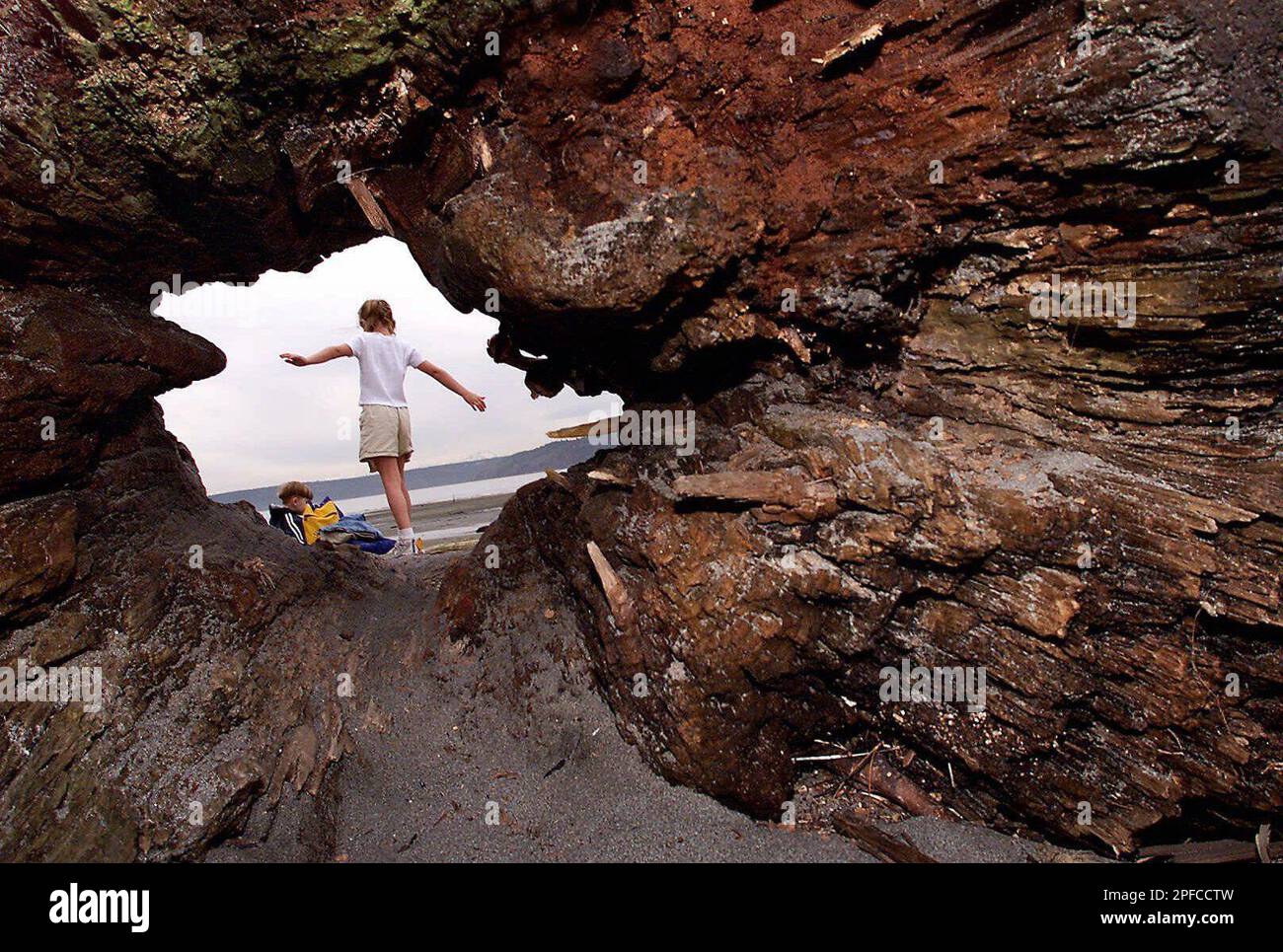 Nothing beats driftwood for a makeshift balance beam as Sarah Hanna, 7 ...